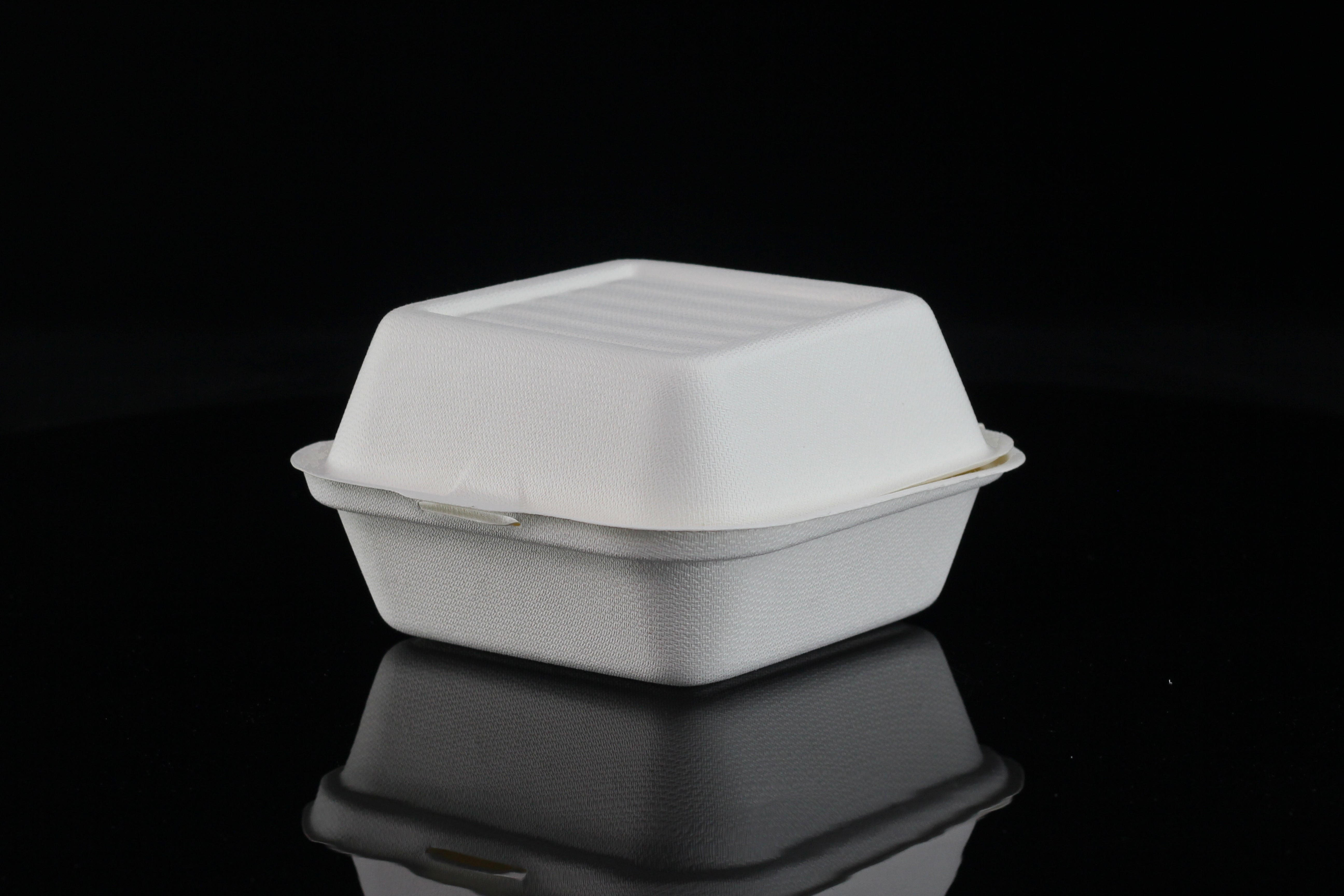 Bagasse Clamshell Box (Box of 1000pcs) | Food Packaging Boxes – custom ...